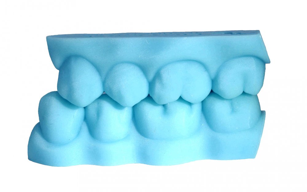 Essential Dental Anatomy Models - Accurate and Comprehensive Training Tools